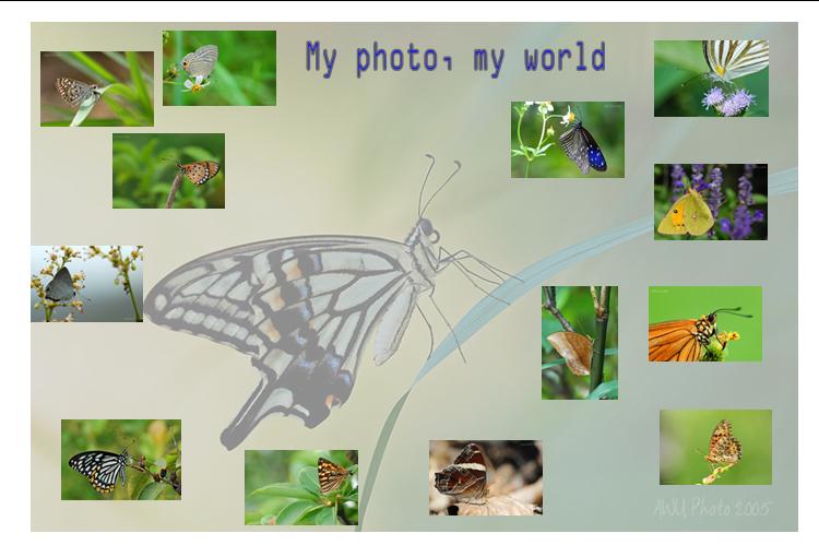 My photo, my world... -- fotop.net photo sharing network