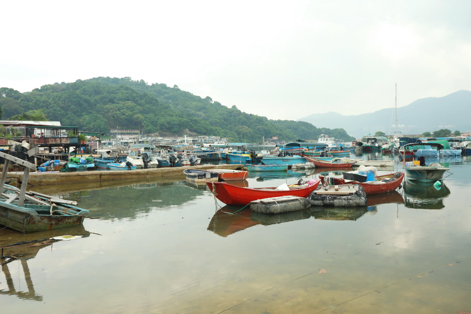 2017 - Sam Mun Tsai :: 16 -- fotop.net photo sharing network