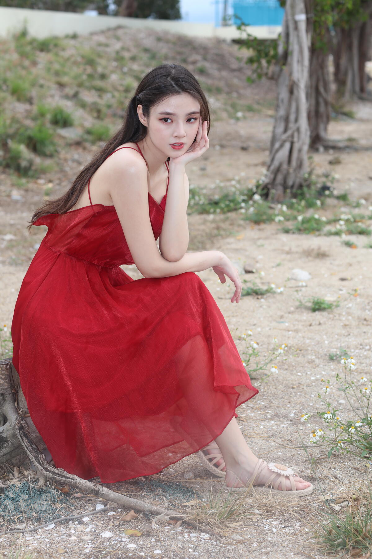 Part One :: 5 -- fotop.net photo sharing network