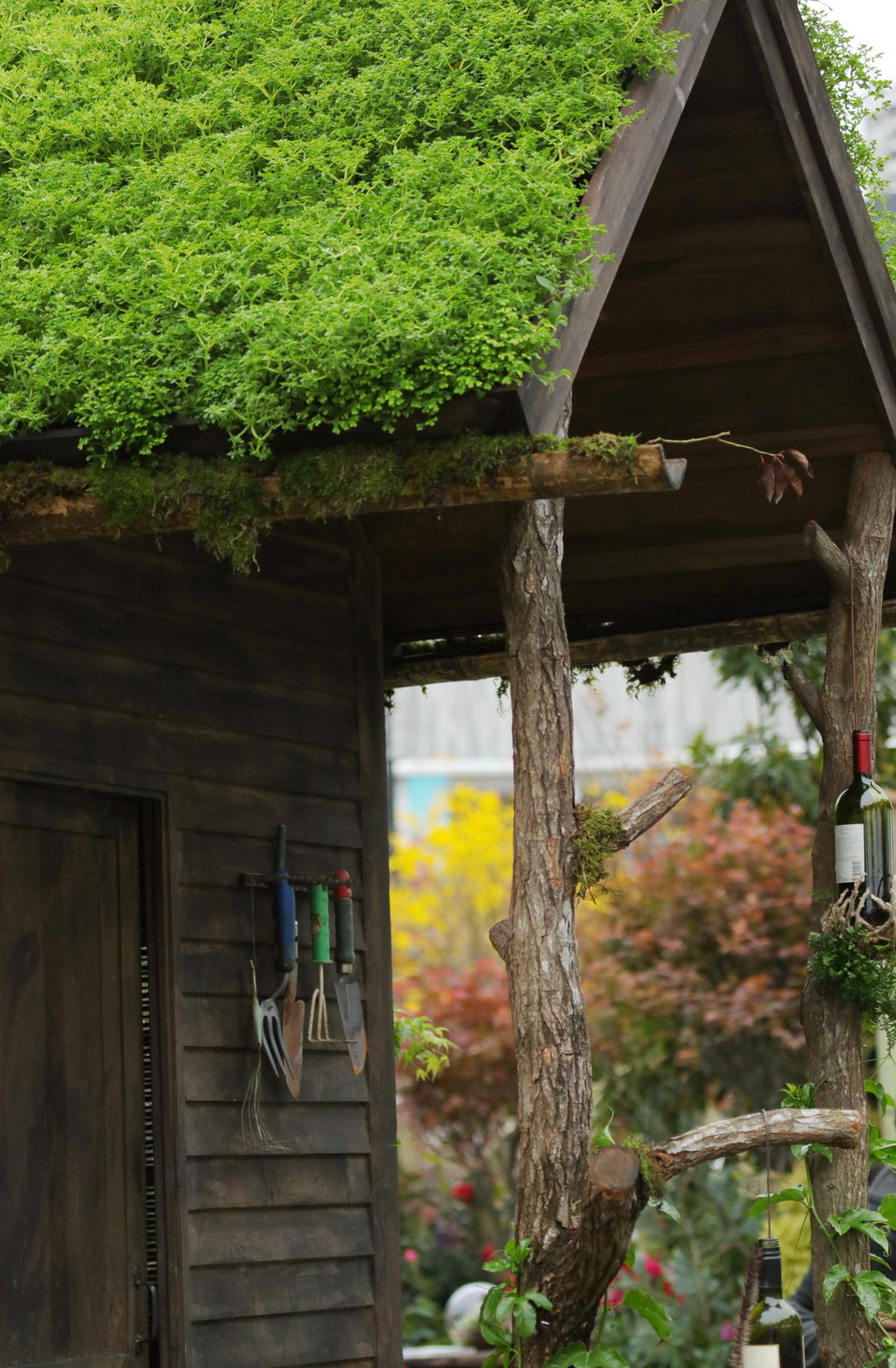 Flower Gallery :: 4 -- fotop.net photo sharing network