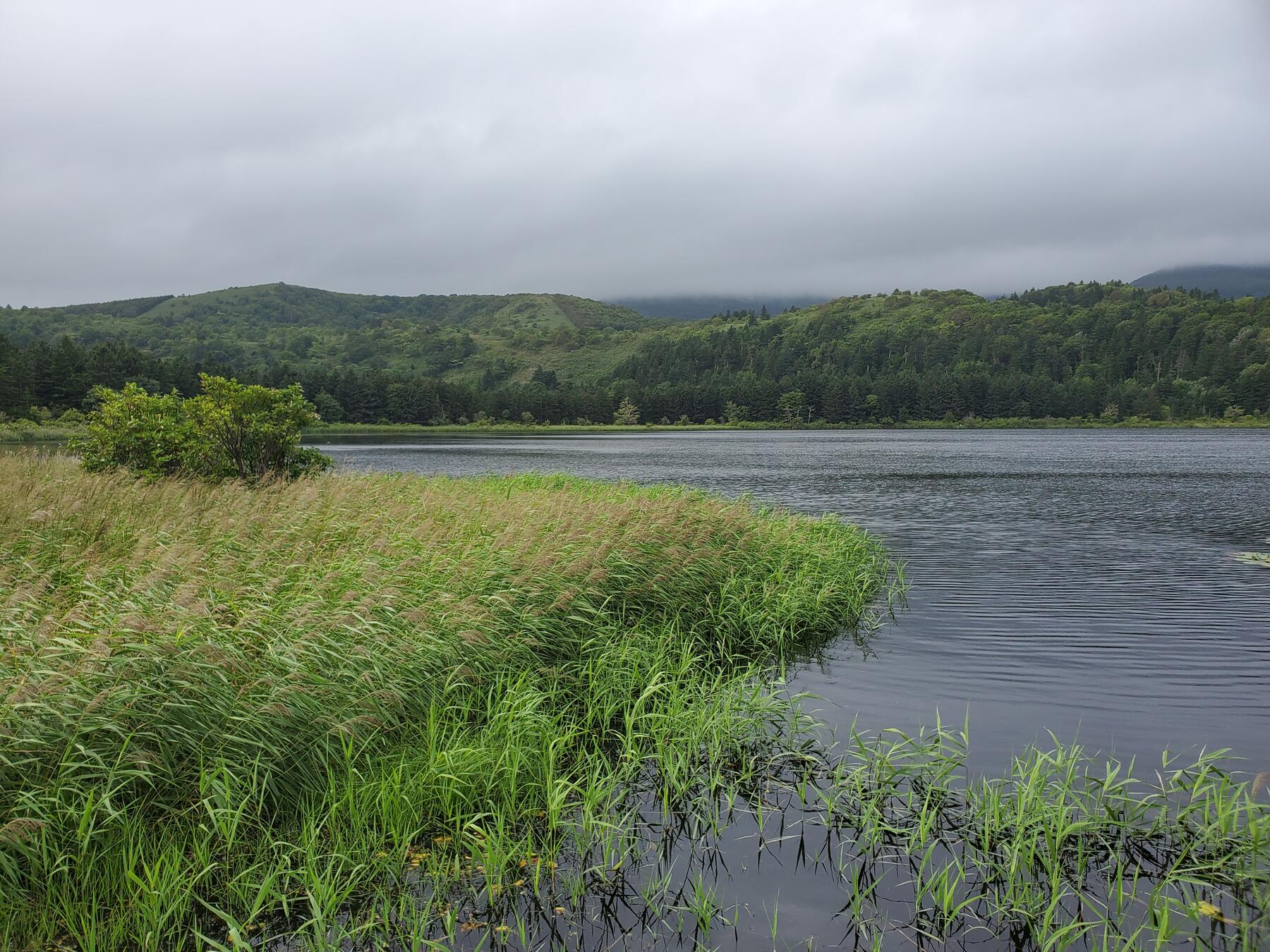 Day Three -- fotop.net photo sharing network