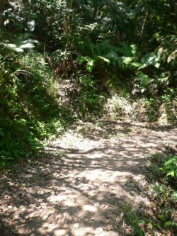 GEOG VIEW :: 10 -- fotop.net photo sharing network
