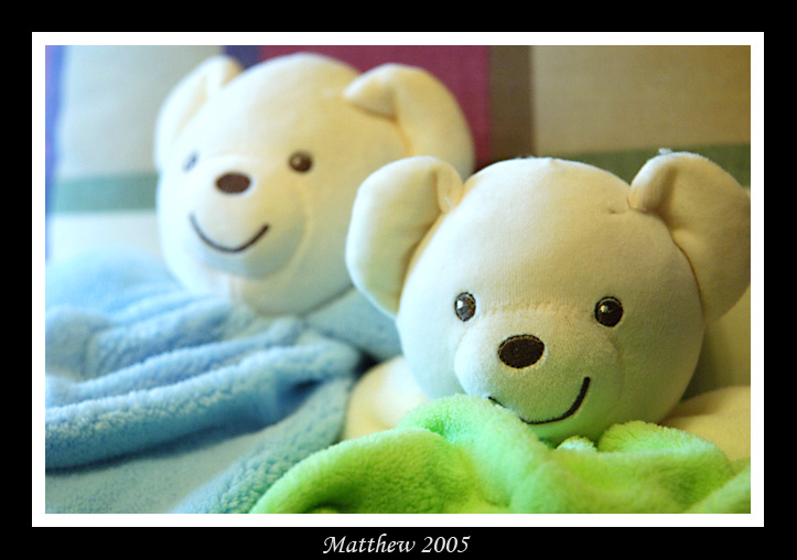 Kaloo Bear -- fotop.net photo sharing network