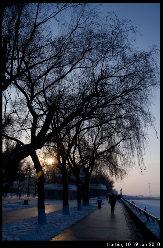 All About HARBIN | SkyscraperCity Forum