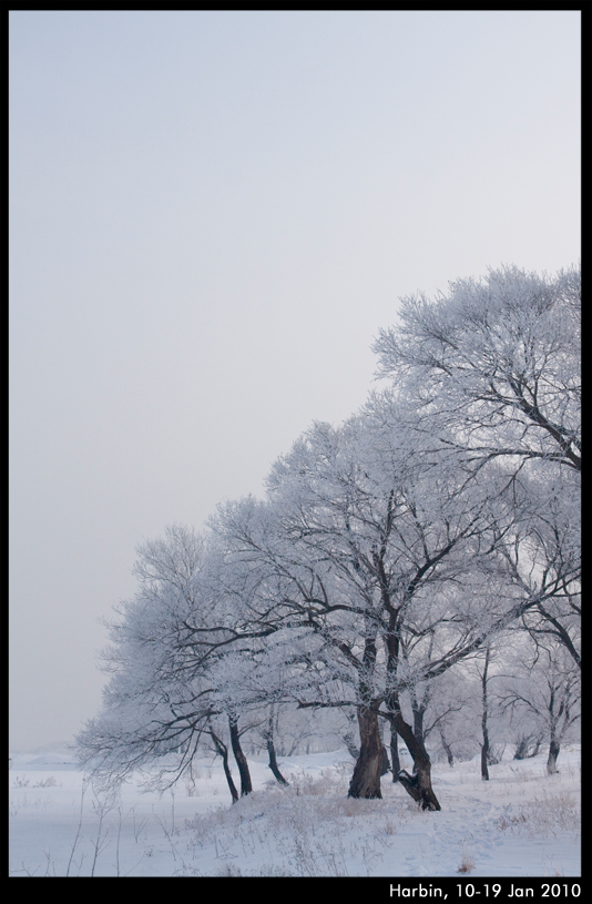 All About HARBIN | SkyscraperCity Forum