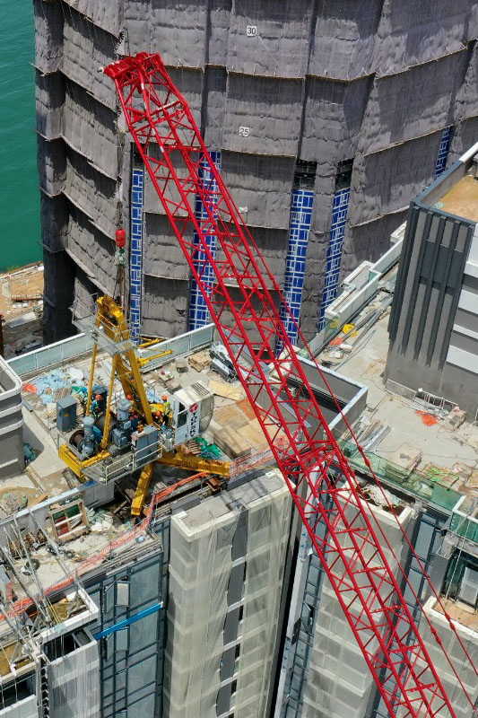 Set Win LTM1650-8.1 + 80.5m luffing fly-jib dismantling derrrick cranes ...