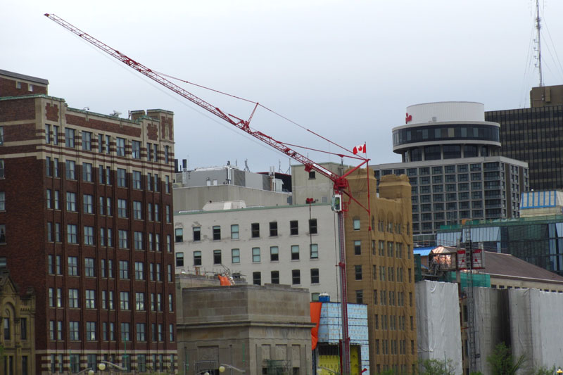 Canadian cranes :: 2 -- fotop.net photo sharing network