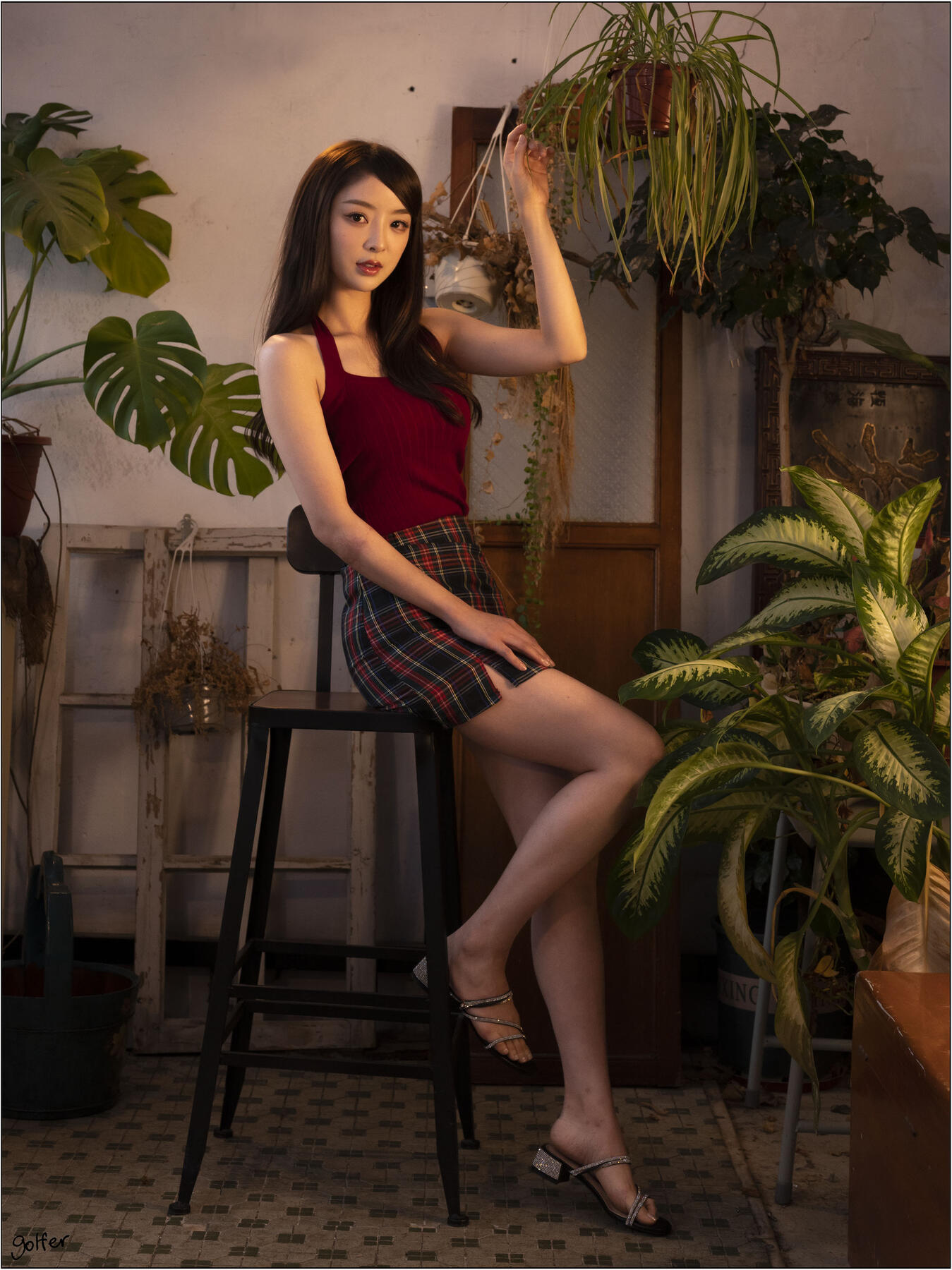 Plants :: 8 -- fotop.net photo sharing network