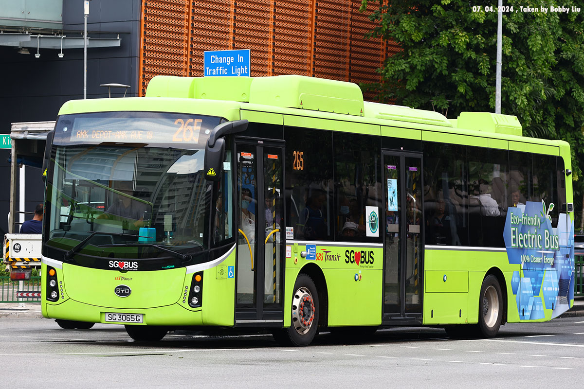 BYD C6/K9/B12A :: 26 -- fotop.net photo sharing network