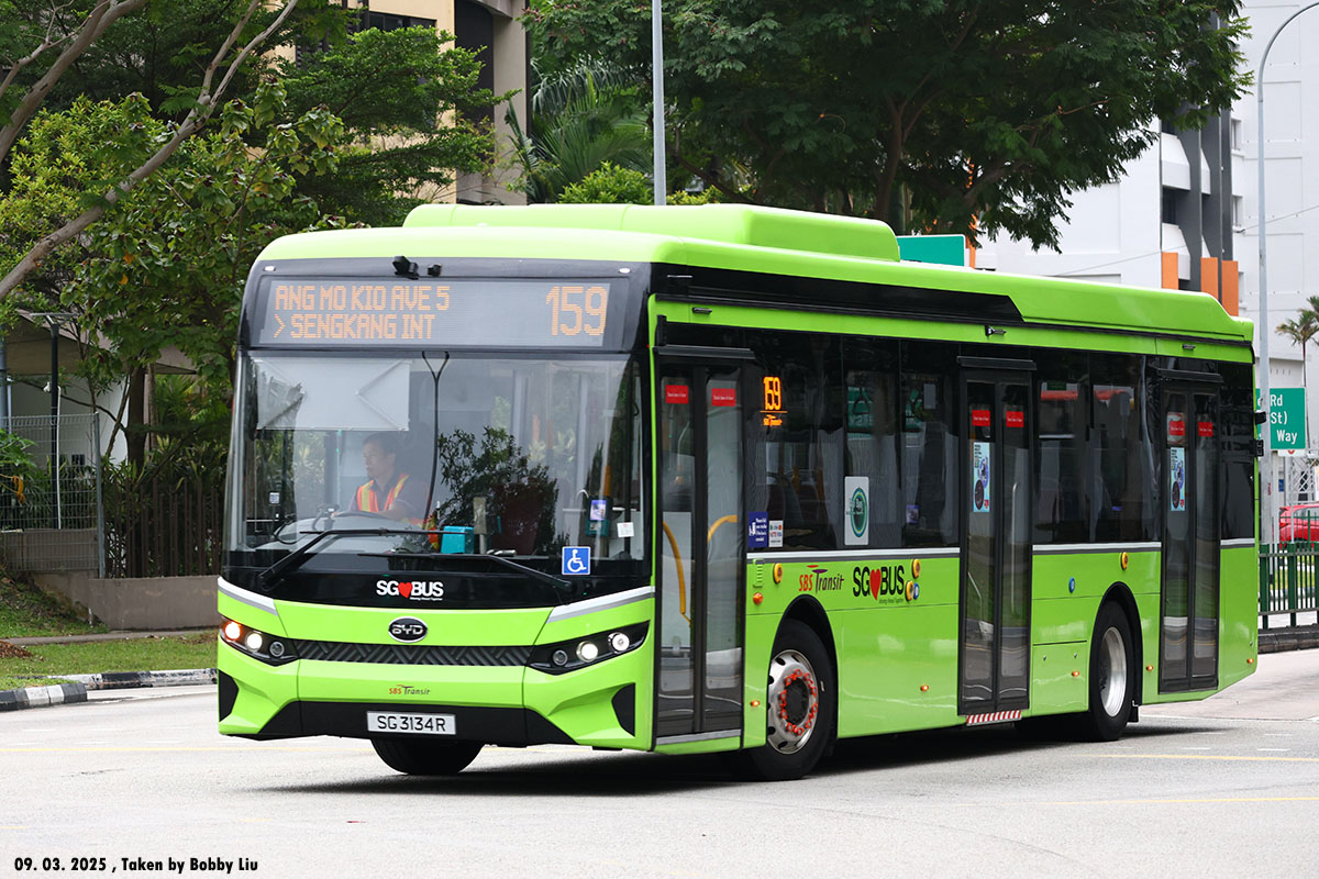 BYD BC12A04 :: 157 -- fotop.net photo sharing network