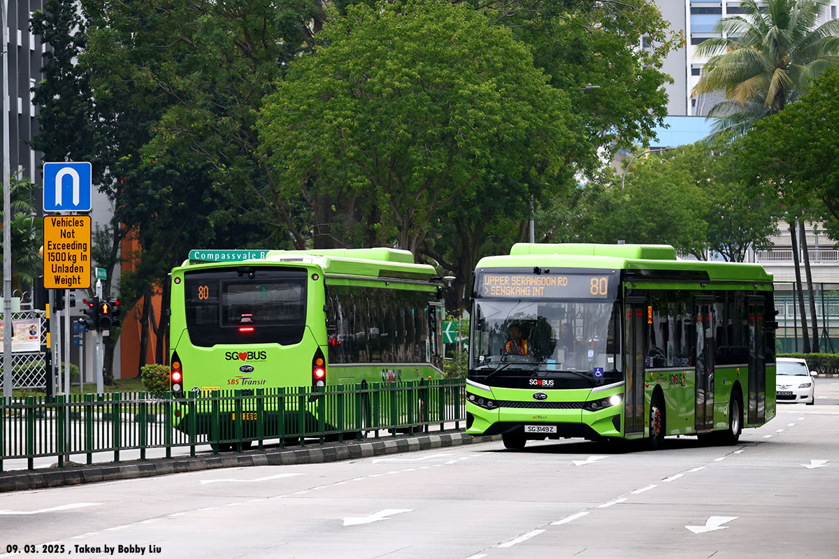 BYD BC12A04 :: 161 -- fotop.net photo sharing network