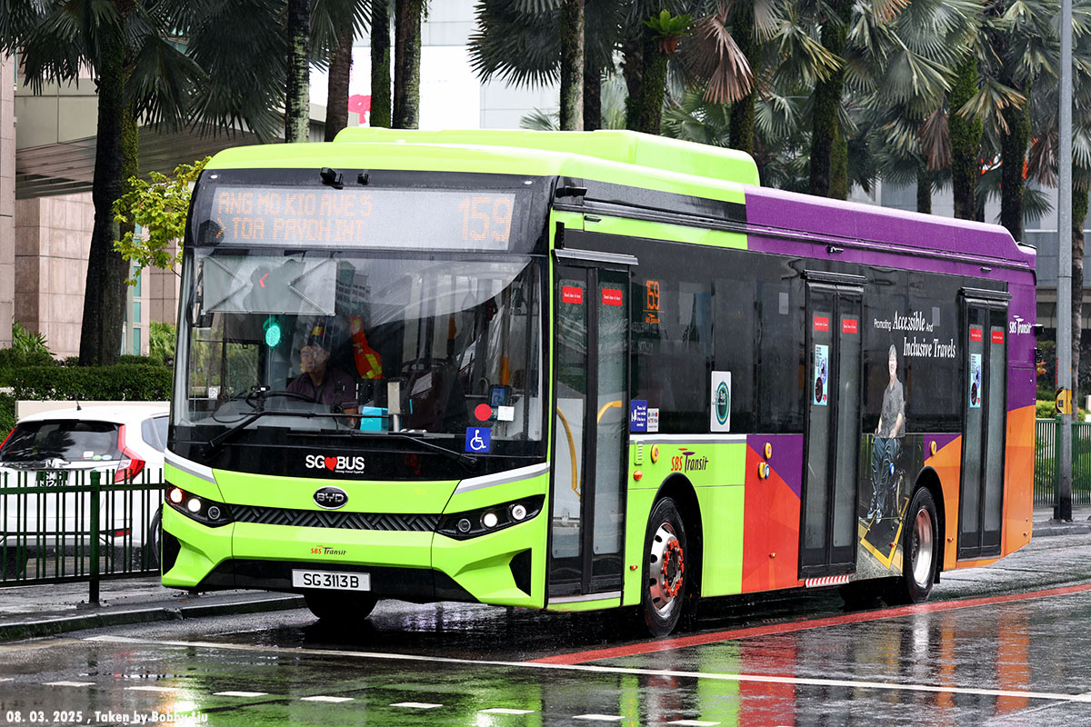 BYD BC12A04 :: 56 -- fotop.net photo sharing network