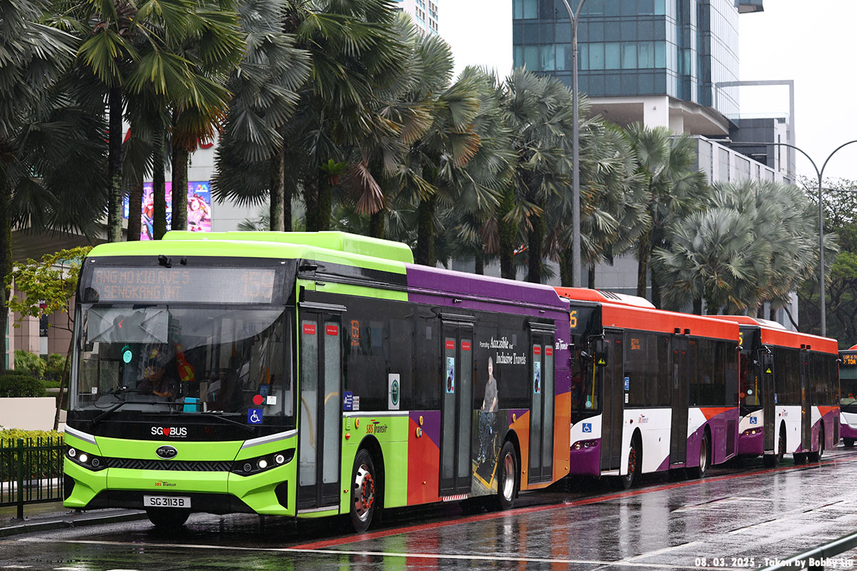 BYD BC12A04 :: 58 -- fotop.net photo sharing network