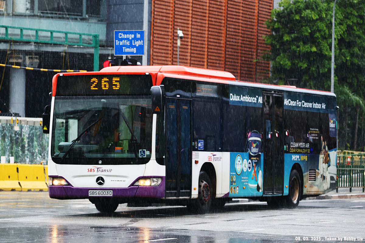 Mercedes Benz Citaro :: 33 -- fotop.net photo sharing network