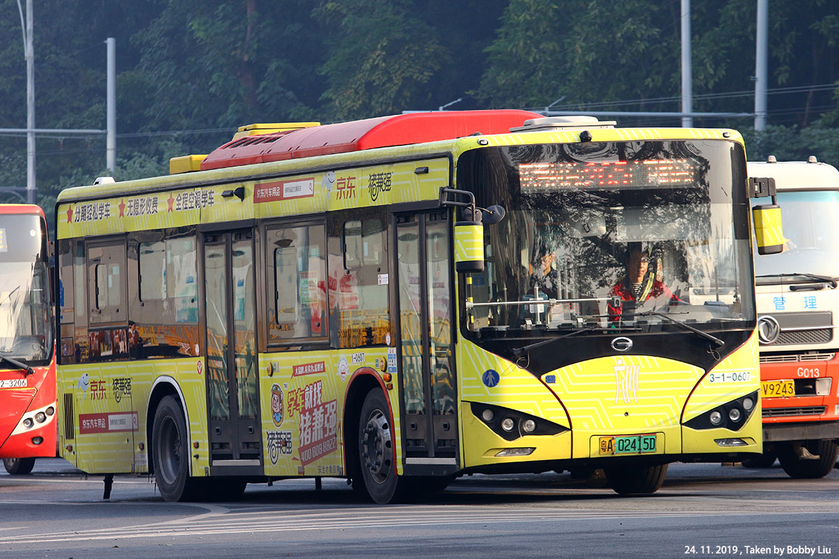 Guangzhou Buses 24112019 :: 229 -- fotop.net photo sharing network