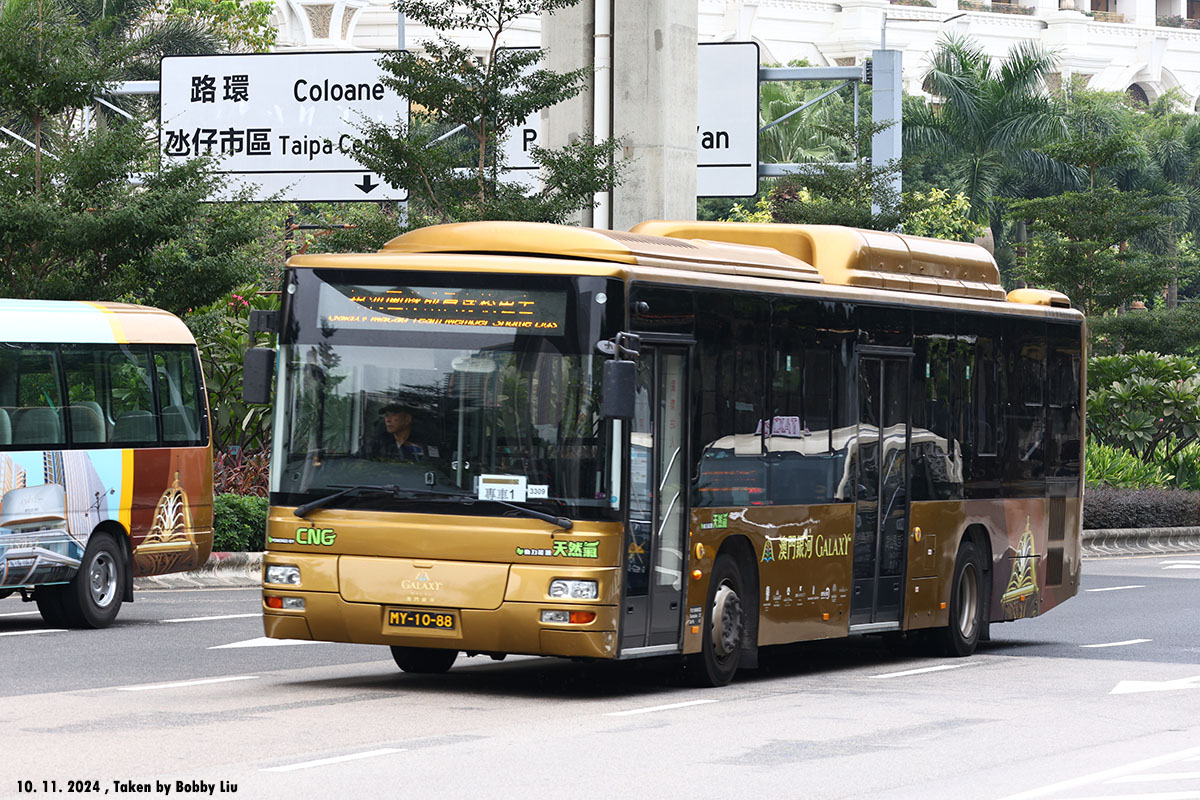 Macau Buses :: 965 -- fotop.net photo sharing network