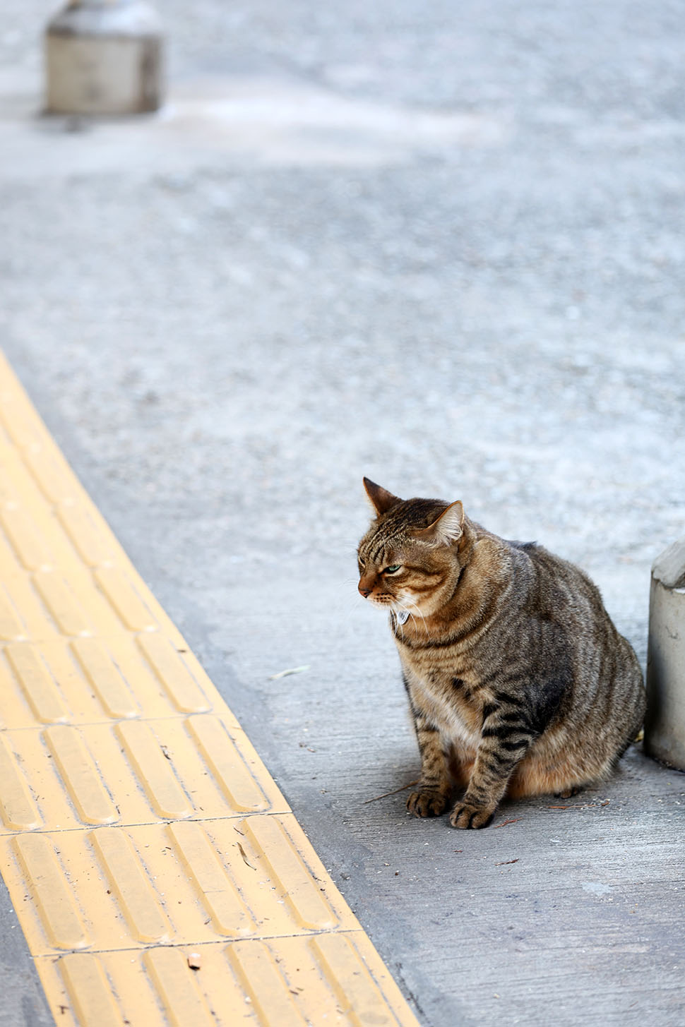 Tsing Yi :: 91 -- fotop.net photo sharing network